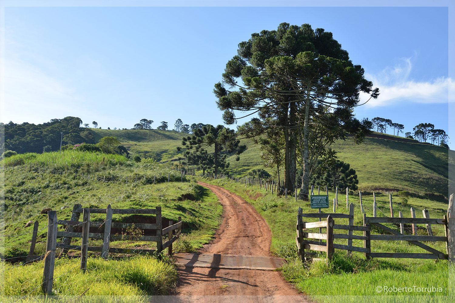 Paraisópolis - Minas Gerais - Serra da Mantiqueira